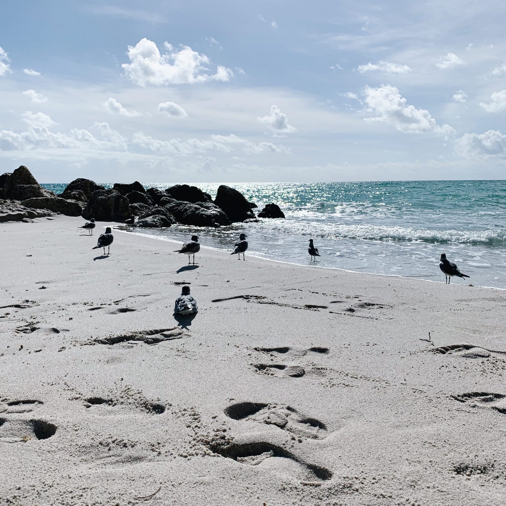 Miami Memories | pelamarela.com